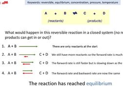 Dynamic Equilibrium | Teaching Resources