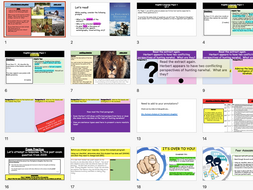 'The Explorer's Daughter' Edexcel IGCSE English (3 Lessons) | Teaching ...