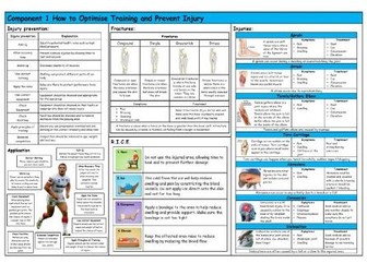 GCSE PE – Edexcel (9-1) – Complete Component 1 - Knowledge Organisers ...