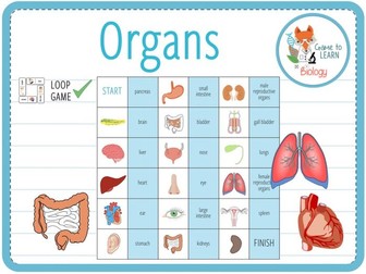 Organs - 10x Games and activities (KS3/4) | Teaching Resources
