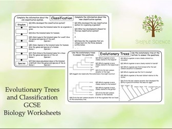 GCSE Biology Paper 2 - Inheritance, Variation and Evolution Worksheet ...