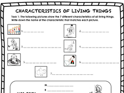 Characteristics of Living Things | Teaching Resources