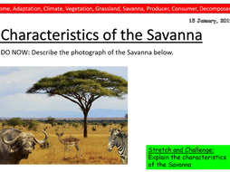 Geography Lesson- Location and Characteristics of the Savanna ...