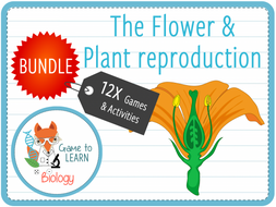 The Flower & Plant Reproduction - 12x Games and activities (KS2/3 ...