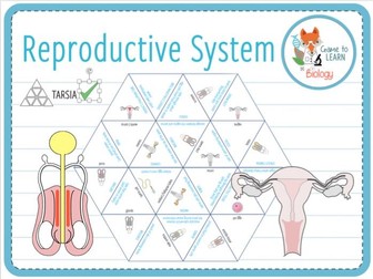 Human Reproduction - 13x Activities and Games (KS3/4) | Teaching Resources