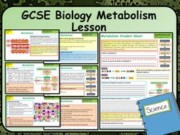 AQA KS4 GCSE Biology (Science) Metabolism Lesson | Teaching Resources