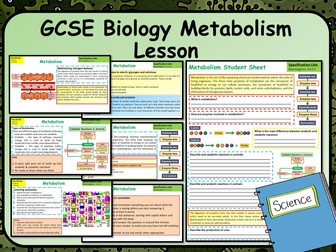 AQA KS4 GCSE Biology (Science) Bioenergetics Bundle | Teaching Resources