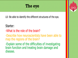 AQA GCSE Biology- The eye | Teaching Resources