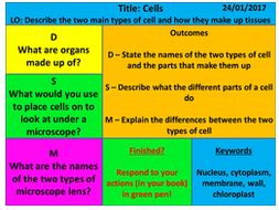 Year 7 Cells New Exploring Science Topic | Teaching Resources