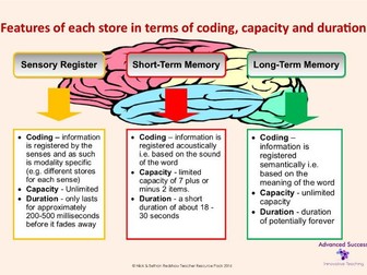 SPECIAL OFFER - Memory - Classroom and Revision Poster Bundle | Teaching Resources