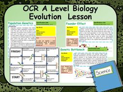 New OCR A2 Biology Evolution Lesson | Teaching Resources