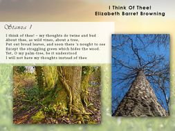 AQA Poetry Differentiated - Sonnet 29, I Think of Thee (Love and ...