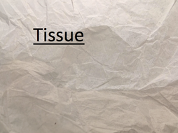 'Tissue' (Dharker) for GCSE | Teaching Resources