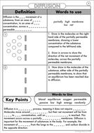 GCSE Biology: Diffusion, Osmosis and Active Transport Worksheet Pack ...