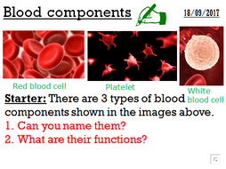 Blood components - complete lesson (GCSE 1-9) | Teaching Resources