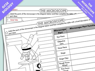 GCSE Biology: The Microscope and Calculating Magnification | Teaching ...