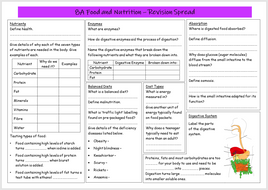 Food and Nutrition Revision Spread | Teaching Resources
