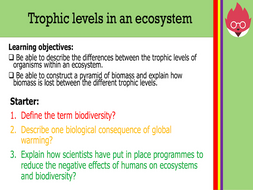 AQA GCSE Biology- Trophic levels in an ecosystem | Teaching Resources