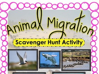 Animal Science Scavenger Hunt - The Bundle | Teaching Resources