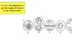 GCSE AQA Science Biology 4.1 Mitosis and the cell cycle | Teaching ...