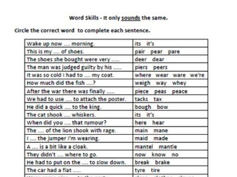 Naplan Language Conventions Practice | Teaching Resources