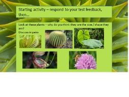 Plant adaptations GCSE biology low-mid ability | Teaching Resources