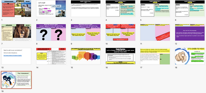'The Explorer's Daughter' Edexcel IGCSE English (3 Lessons) | Teaching ...