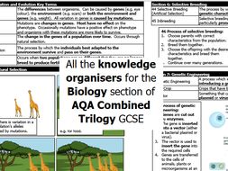 AQA 9-1 New GCSE: Biology Knowledge Organisers | Teaching Resources