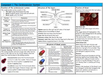 GCSE PE – Edexcel (9-1) – Cardiovascular & Respiratory System Revision ...