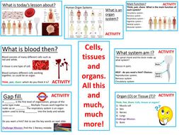 Cells, tissues and organs | Teaching Resources