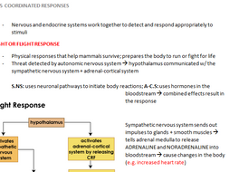 Coordinated responses [REVISION NOTES] | Teaching Resources