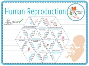Human Reproduction - 13x Activities and Games (KS3/4) | Teaching Resources