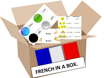 French word order using nouns and colour adjectives. | Teaching Resources