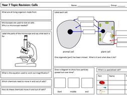 Year 7 Activate B1 Topic Revision Grid: Cells | Teaching Resources