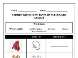 Science worksheets: Parts of the human immune system | Teaching Resources