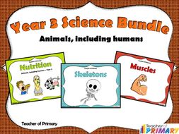 Year 3 Science Bundle - Animals, including humans | Teaching Resources