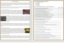 EASTER IN GERMANY - Reading Comprehension Worksheet / Text | Teaching ...