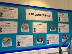 PE Nutrients/A Balanced Diet Display Board Posters - GCSE Physical ...
