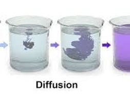 Observing Diffusion: Demonstration | Teaching Resources