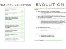 Classification and Evolution Booklet AS Biology OCR | Teaching Resources