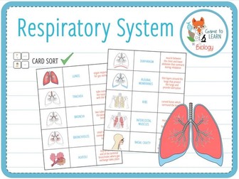 Respiratory system - 7x Activities and Games | Teaching Resources