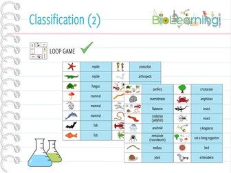 Classification - 10x Games and activities | Teaching Resources