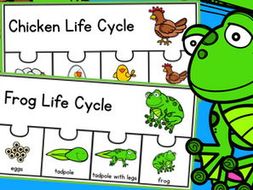 Animal Life Cycle Puzzles | Teaching Resources