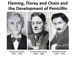 Fleming, Florey and Chain and the Development of Penicillin | Teaching ...