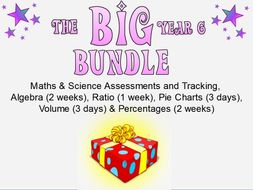 The BIG Year 6 Maths Pack by mrajlong | Teaching Resources