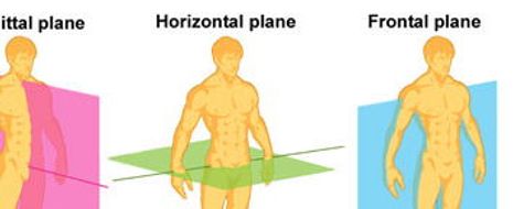 GCSE Edexcel 2.2 Planes & Axes Worksheets & ANSWERS | Teaching Resources