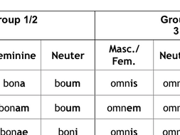 Latin Adjectives table | Teaching Resources