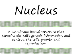 The Cell Vocabulary Cards | Teaching Resources