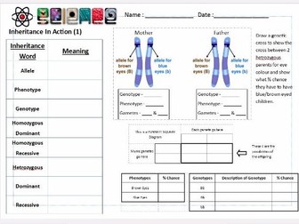 AQA GCSE Biology - Genetics Lesson Bundle (4.6.1) (B13) | Teaching ...