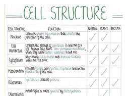 Cell Structure 2 (Cell Biology) Revision Poster [AQA GCSE Biology ...